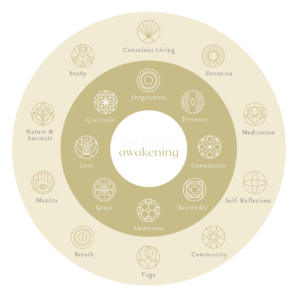 Awakening 101: Navigating Emotional and Spiritual Growth